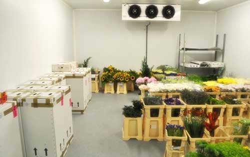 News - Flower cold storage project